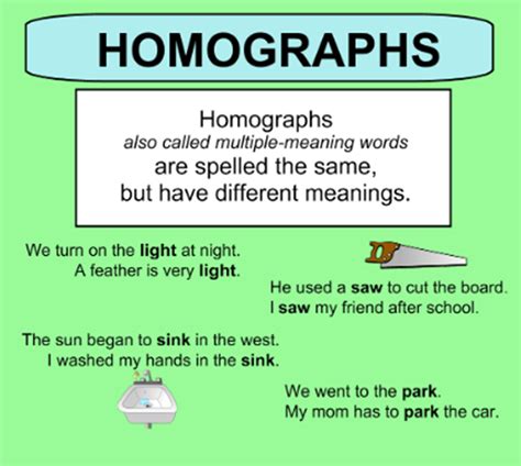 60 Homograph Examples