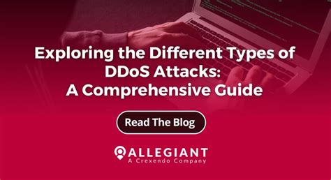 Exploring The Different Types Of Ddos Attacks A Comprehensive Guide