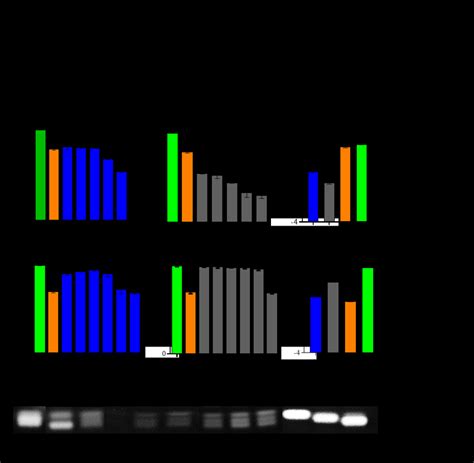 Evaluation Of Antiviral Activity Using Virus Titer Reduction Profiling