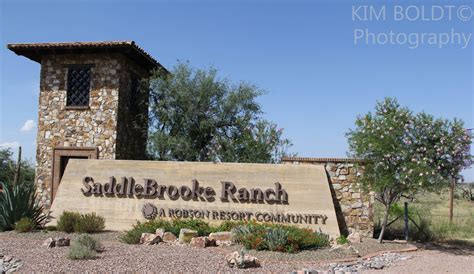 Why Robson Saddlebrooke Ranch Arizona Is Perfect For 55 Living