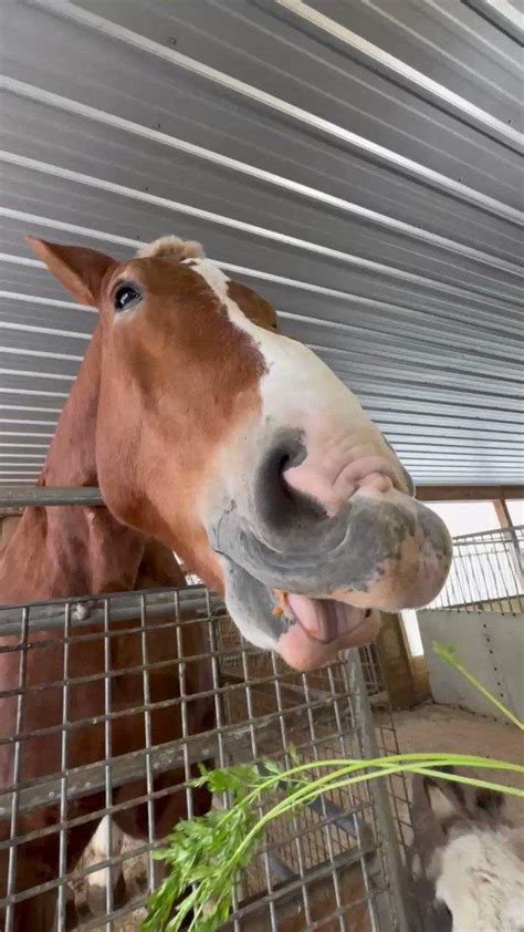 Andreas Dettlaff Andreasdettlaff On X Andreas Dettlaff