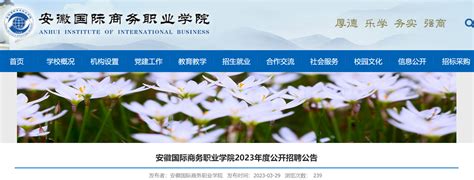 2023年度安徽国际商务职业学院公开招聘15人公告（3月29日起报名）