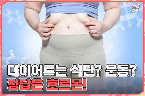 [건강잇숏] 다이어트는 식단 운동 정답은 호르몬 당신의 건강가이드 헬스조선