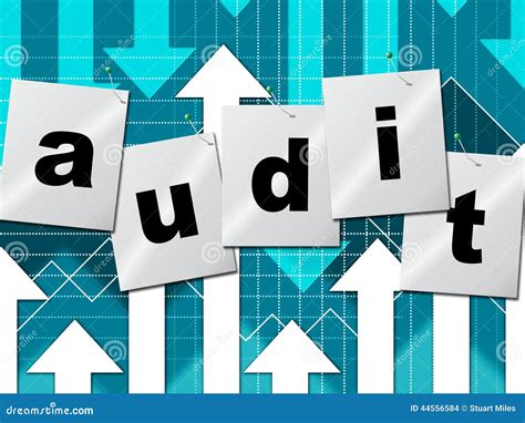 Audit Graph Icon Color Outline Vector 232961372