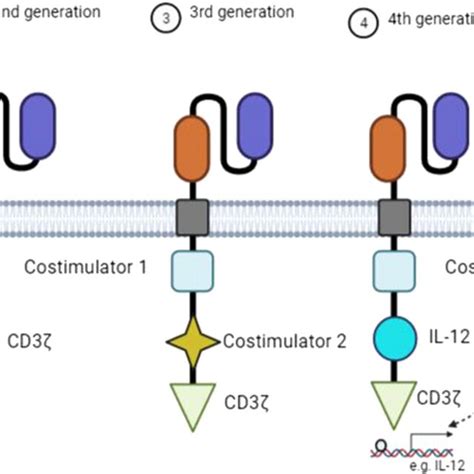 Five Generations Of Car T Cells First Generation Car T Cells Include Download Scientific
