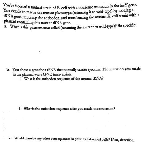 Youve Isolated A Mutant Strain Of E Coli With A