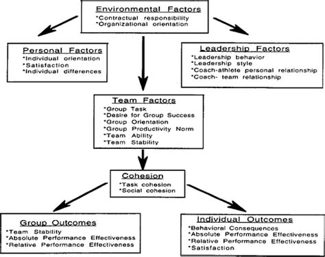 Conceptual Model Of Cohesion Flashcards Quizlet