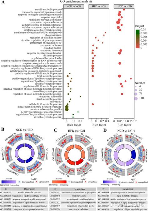 如何整合转录组和代谢组分析结果，这篇文章交了一份完美答卷 知乎