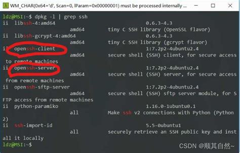 Ssh Csdn