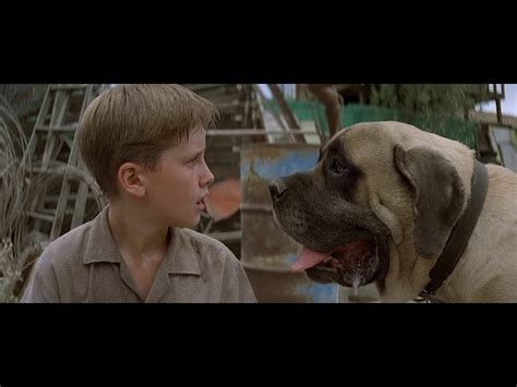 The Sandlot Dog Breed