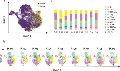 Figures And Data In Proliferative Exhausted Cd8 T Cells Exacerbate
