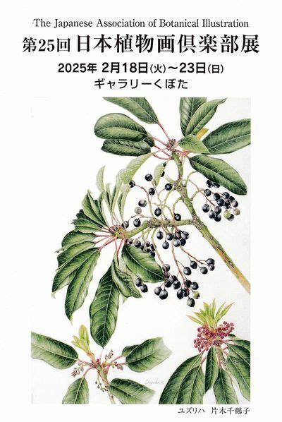 西本眞理子 花の絵日記 日本植物画倶楽部展