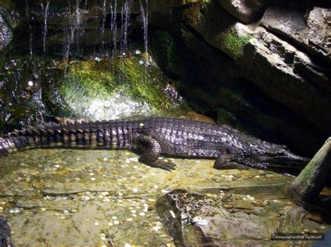 Siberia Travel Монголд