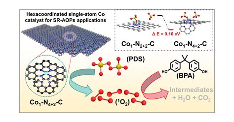 Engineering Hexacoordination Structured Co Single Atom Sites Con42 To Boost Peroxydisulfate