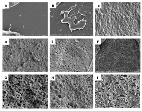 5sem Micrographs Of Impact Fractured Surfaces Of A Neat Pla B