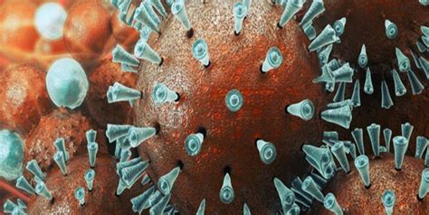 آمار بالای کاذب بودن نتیجه آزمایش آنتی بادی پایگاه خبری جماران