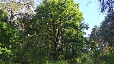 Карта особо охраняемых природных территорий Республики Беларусь Министерство природных