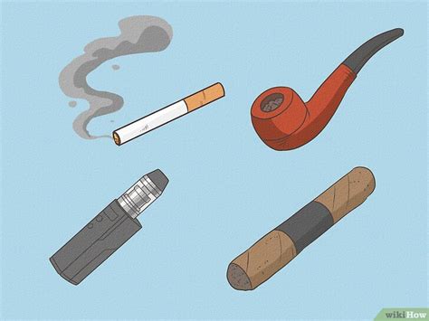 Can Drug Dogs Smell Nicotine Everything You Need To Know
