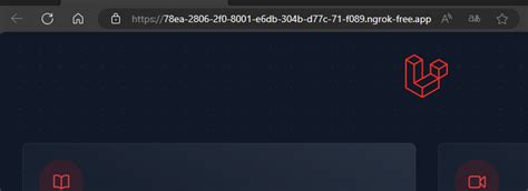 Laragons Quick Share With Ngrok Not Working As Expected Stack Overflow