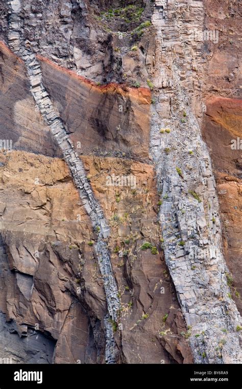 Cliff Face In Volcanic Rocks Showing Dike Formation Madeira Stock