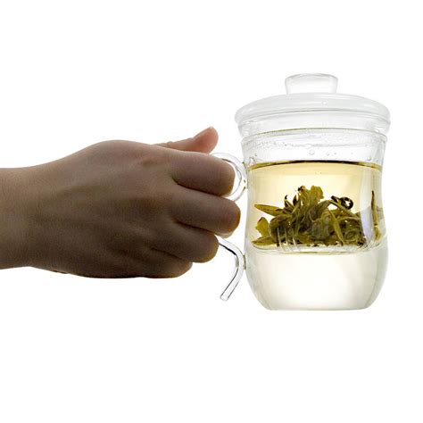 Glass Mug With Infuser And Lid 350ml By The Exotic Teapot