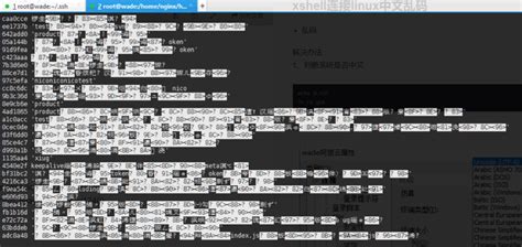 Xshell修改编码格式 Xshell设置编码格式 Xshell中文网