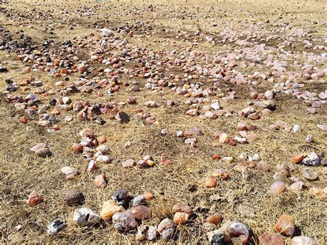 玛瑙河捡石头的地方 苏宏图 大山谷图库