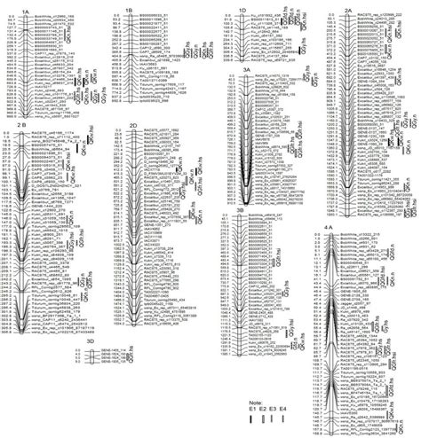 Positions Of Qtls Conferring Grain Yield And Related Traits In 100