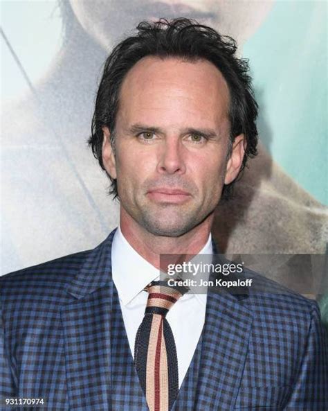 Warner Bros Pictures Tomb Raider Premiere Arrivals Photos And Premium