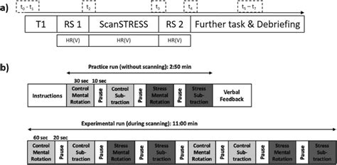 The Scanning Procedure A Comprised A T1 Mprage At The Start Two