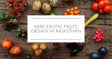 Dialects Of Rajasthan And Its Cultural Significance Rajasthan Studio