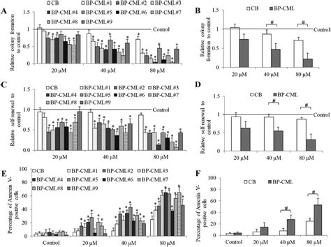 Stachydrine Is Active Against Cml Stem Progenitor Cells The Inhibitory Download Scientific