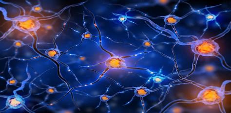 Why Hacking The Nervous System Could Be The Next Big Medical Treatment