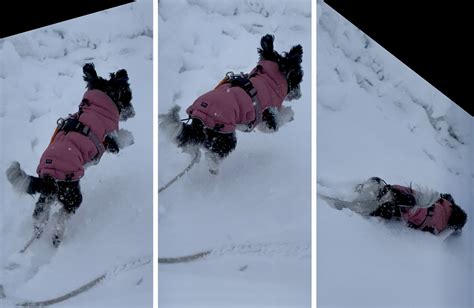 5 A1 E1532 19 F9 423 A A5 D8 F6 A765 F930 B7 Hosted At Imgbb — Imgbb