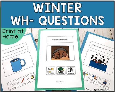 Winter Autism Activity Printable Wh Questions Task Instant Download