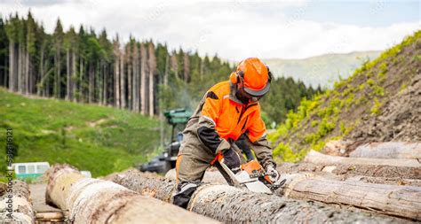 Lumberman Work Wirh Chainsaw In The Forest Deforestation Forest Cutting Concept Woodcutter