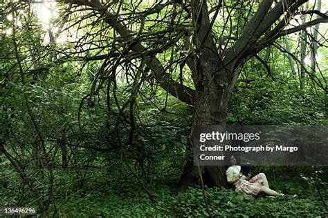 Columbus Tree Photos And Premium High Res Pictures Getty Images