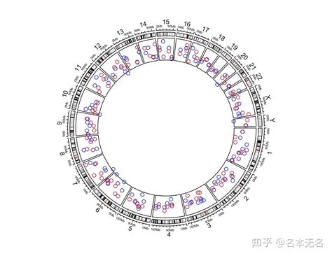 R 数据可视化 —— Circlize 基因组绘图函数 知乎