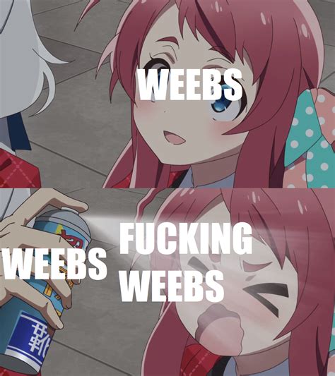 No One Calls Weebs Weebs More Than Weebs Ranimemes