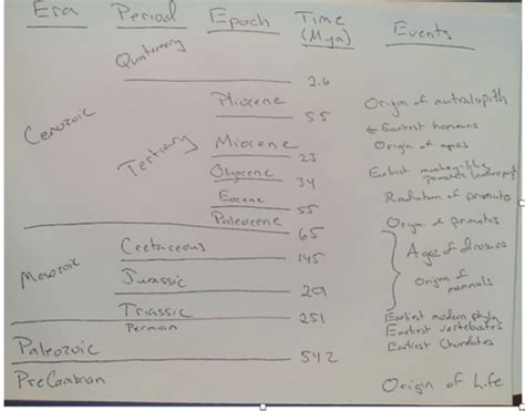 Human Evolution Exam 1 Flashcards Quizlet