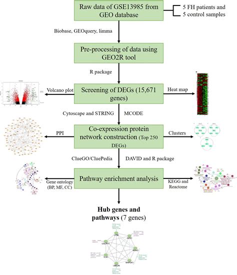 Frontiers Analysis Of Differentially Expressed Genes And Molecular Pathways In Familial