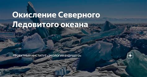 Окисление Северного Ледовитого океана Проектный институт «Экология Будущего Дзен