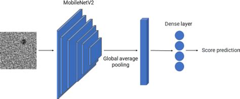 Unet And Mobilenet Cnn Based Model Observers For Ct Protocol