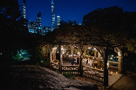 Proposal Engagement Nycproposal Nycengagement Willyoumarryme