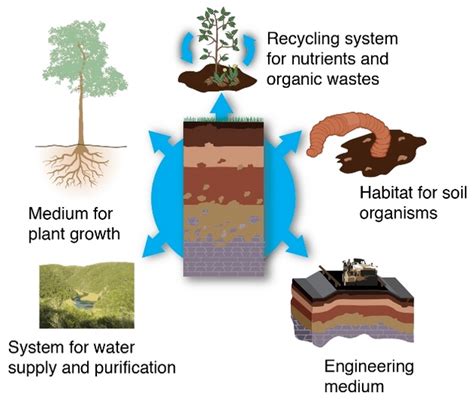 What Are Soils Learn Science At Scitable