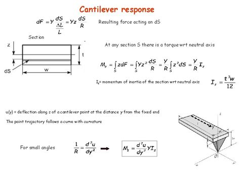 Atomic Force Microscopy Afm Operating Principle Cantilever Response