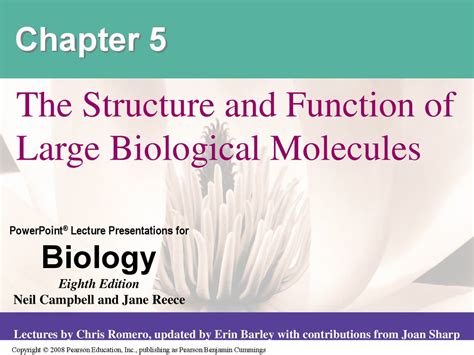 The Structure And Function Of Large Biological Molecules презентация онлайн