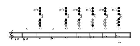 The Kingma System Alto Flute A Practical Guide For Composers And