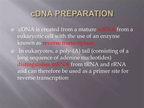 Rna Isolation And Cdna Preparation Pptx