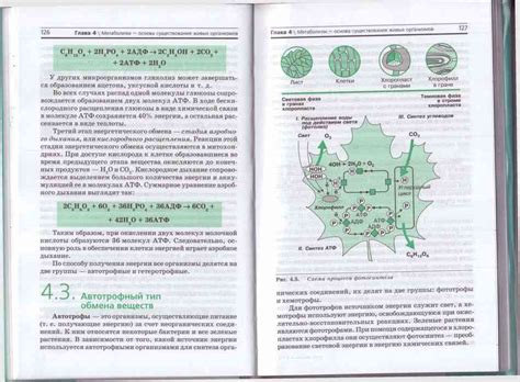 Учебник по биологии 10 класс Захаров Агафонова читать онлайн